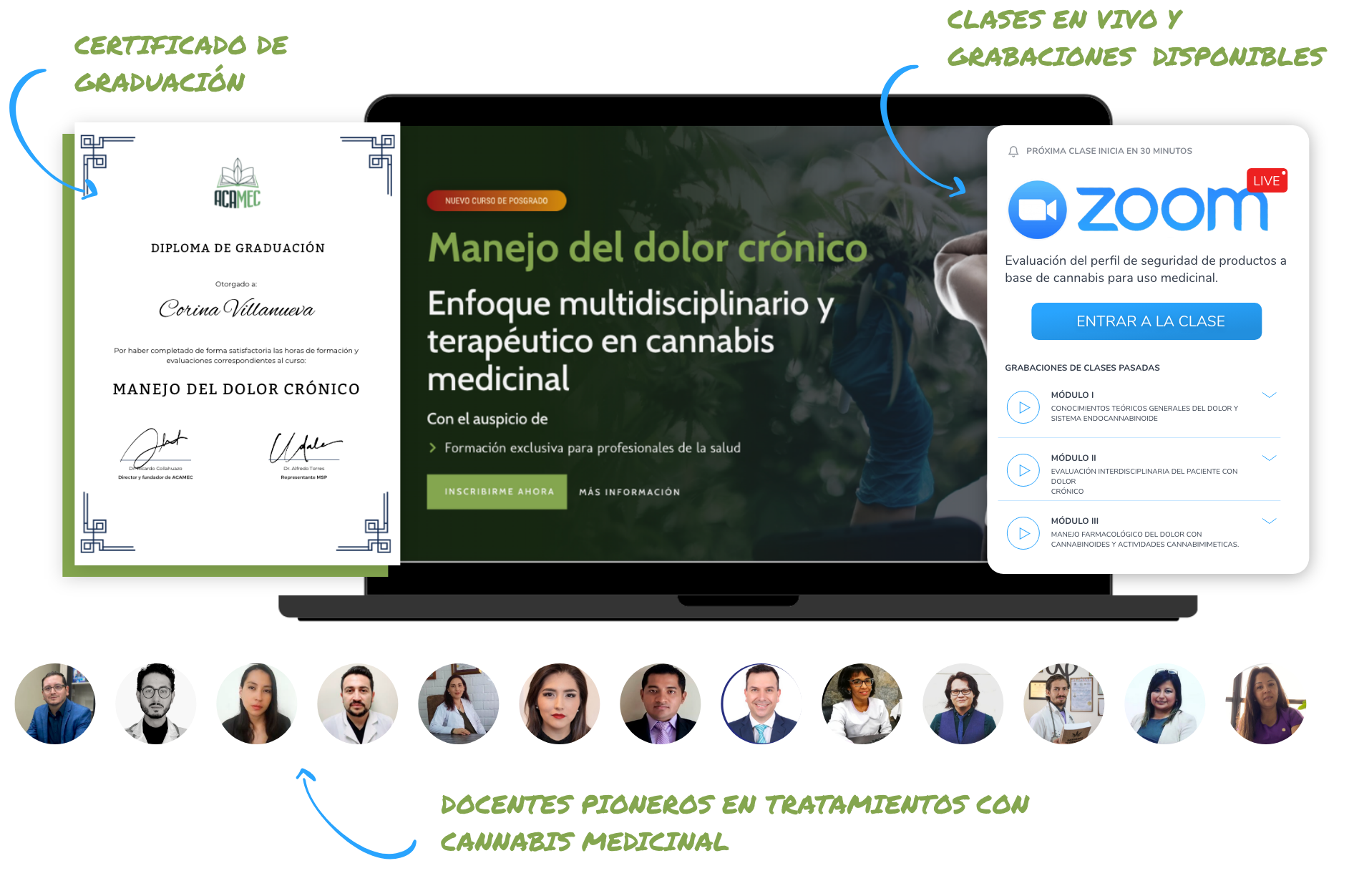 Curso Manejo Del Dolor Crónico Acamec Academia Médica De Endocannabinología 